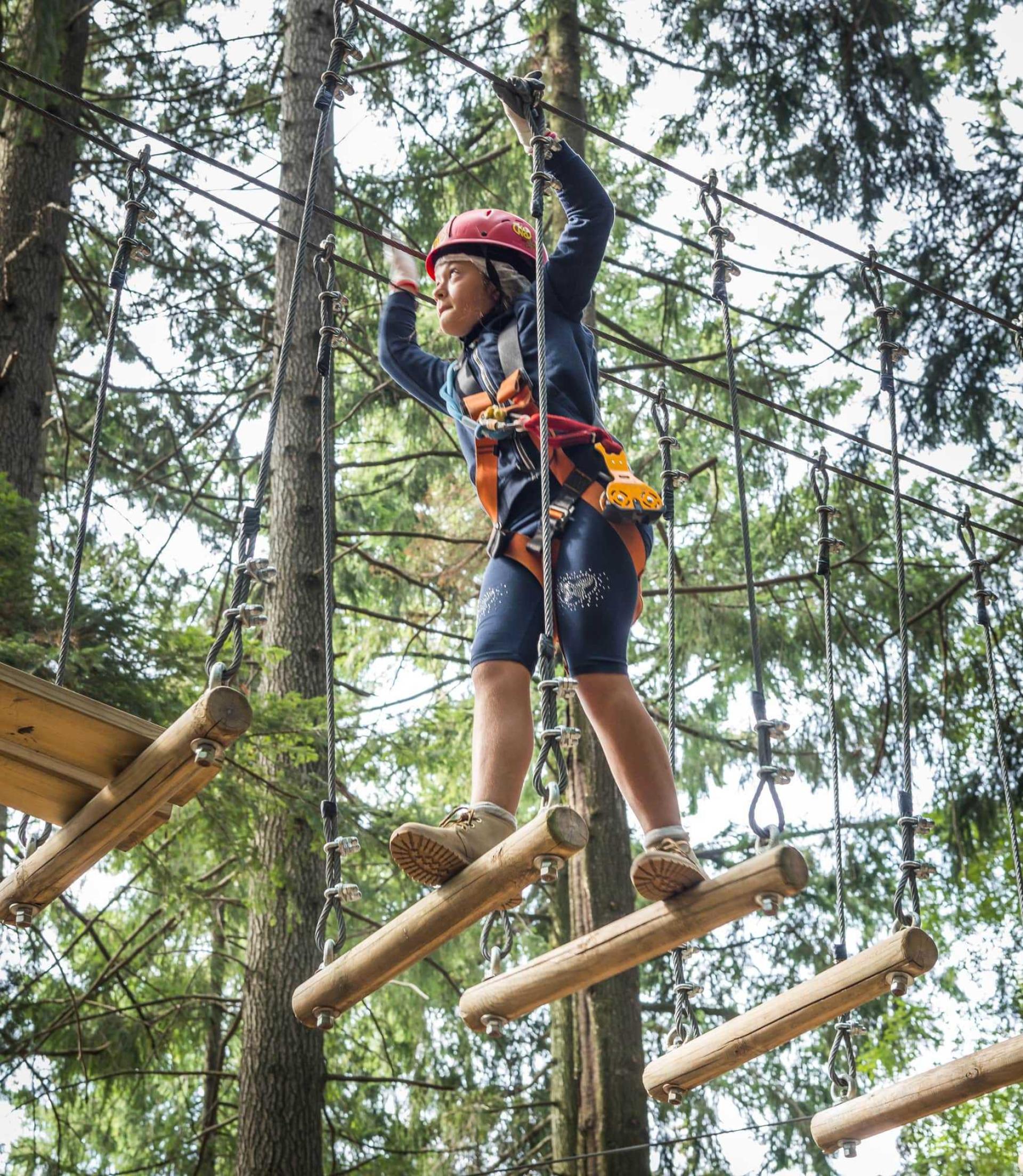 Costruzione Parco Avventura a Margno | Italiana Parchi